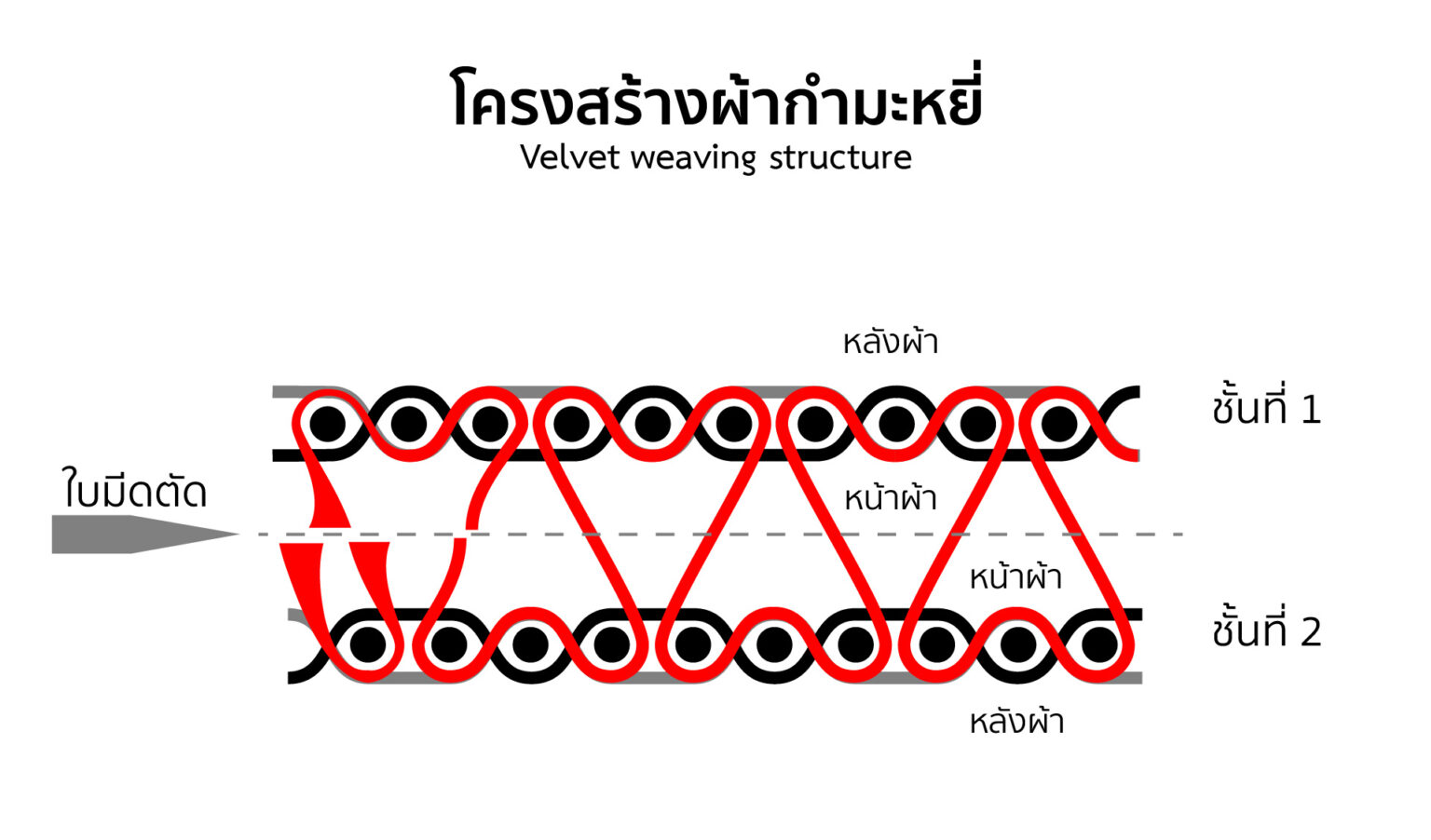 ผ้า Velvet, Chenille, Corduroy, Felt, Terry ต่างกันยังไง – Nitas ...